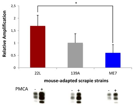 Neuronal Strain Tropism Using In Vitro Models Relative Amplifications