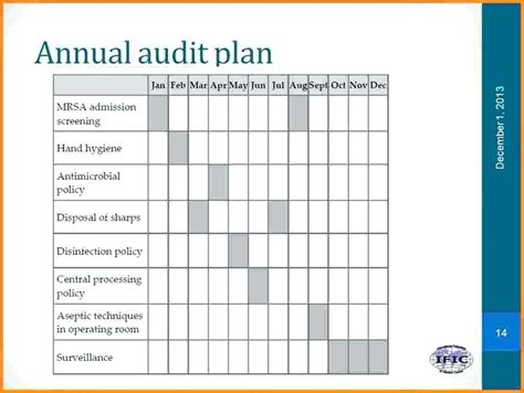 Clinical Trial Audit Plan Template