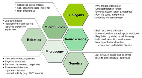 Quantitative Neurotechnology Lab