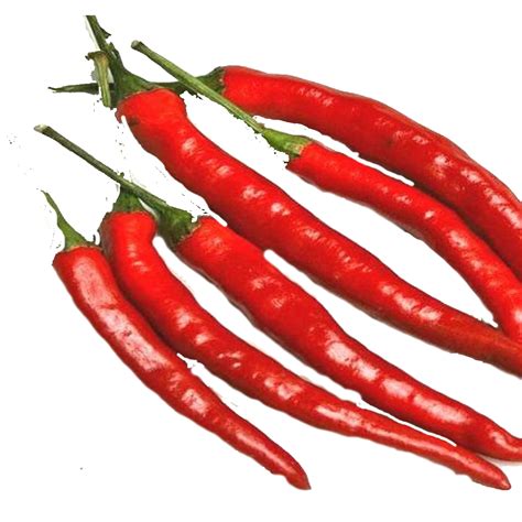 Capsicum Jiomart At Sebastian Vosz Blog