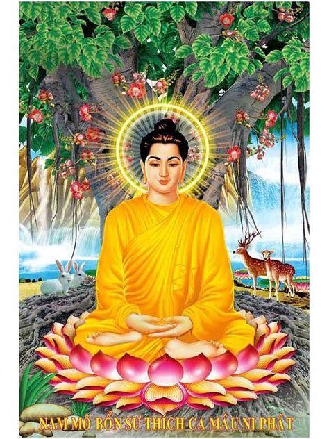 Phật Thích Ca Và Phật A Di đà Khác Nhau Thế Nào