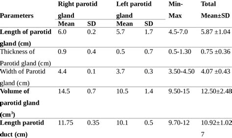 Measurement Values Of Parotid Glands In Akkaraman Sheep Download