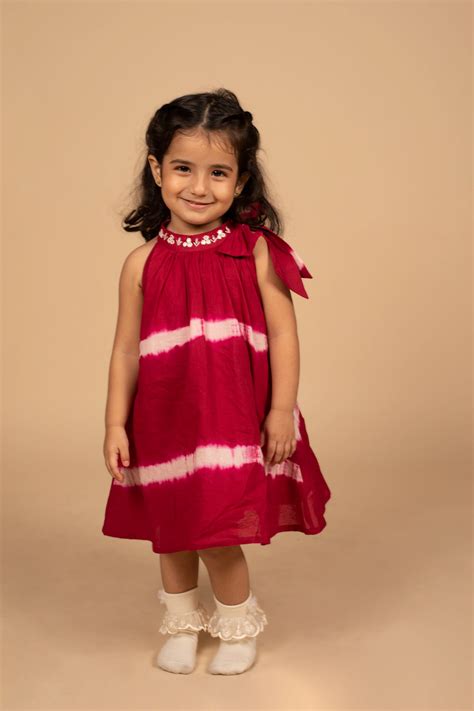 Raspberry Dolly Dress Poochkie
