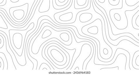 Luxury Abstract Blank Detailed Topographic Contour Stock Illustration
