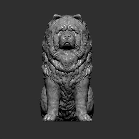 🐕 Chow Chow Sitting 3d Printed Model・ Stl File For 3d Printing・cults