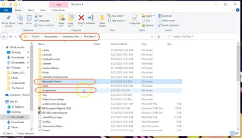 What S Okay To Delete In Sims 4 Files GamesKeys Net