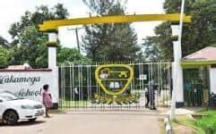 Best Secondary Schools In Kakamega County Education News Hub
