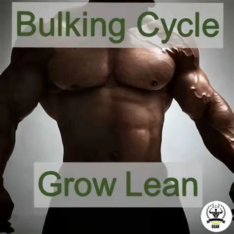 Best Bulking Cycle Gain Lean Mass Fast Top Steroids