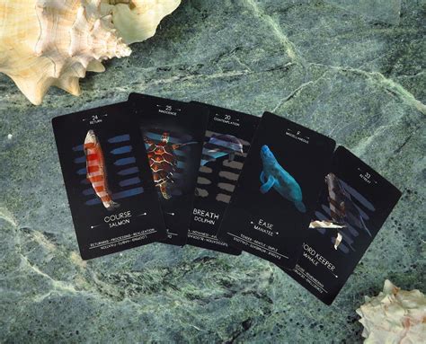 Ceremoniance The Ocean Animals From The Deck At The Top Facebook