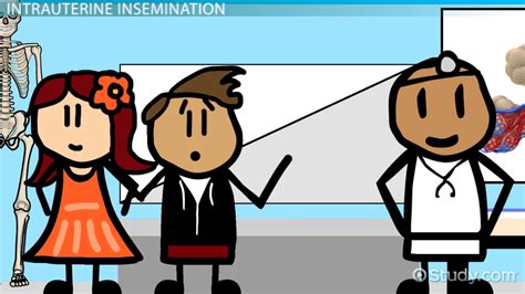 Reproductive Technologies Definition Examples And Risks Lesson