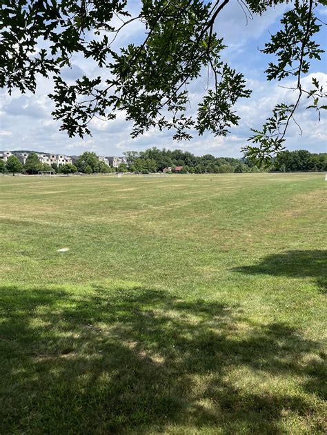 Empty Fields Art Of Kickin It