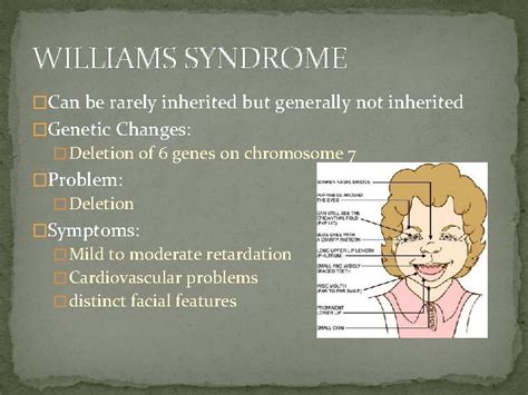 Mistakes In Meiosis Genetic Disorders Chromosomal Abnormalities Karyotypes