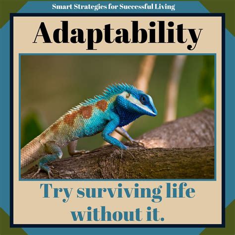 Smart Strategies For Successful Living On Linkedin Adaptability Successfulliving Success