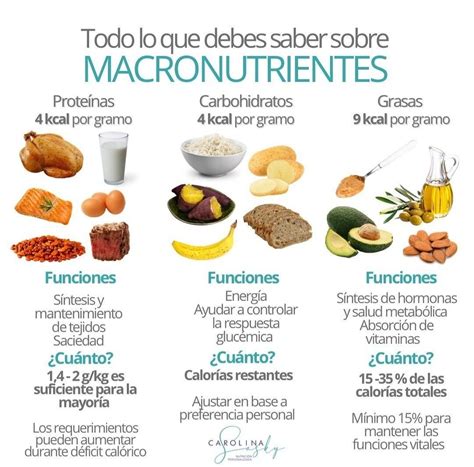 Macronutrientes Alimentos Saludables Alimentos Sanos Alimentos Saludables Comidas
