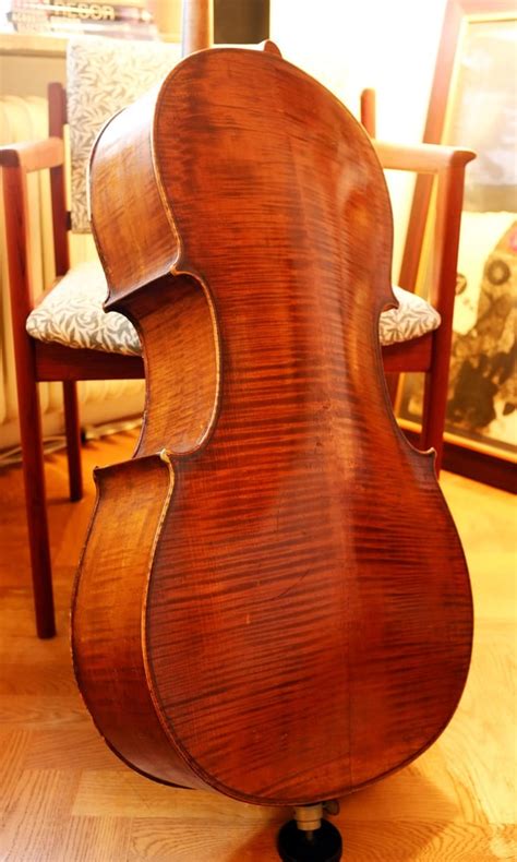 An Update On My 500 Cello Its Good News And A Gallery With More
