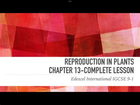 International Igcse Biology 9 1 Reproduction In Humans Chapter 13