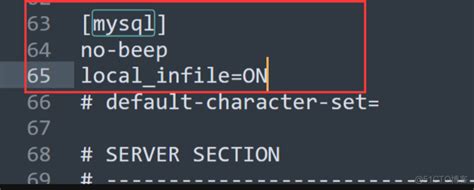 开启 Mysql 导入文本文件数据（load Data Local Infile）独钓渔的技术博客51cto博客