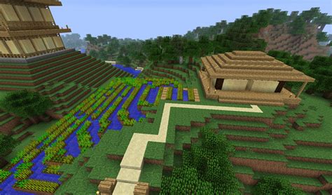 Asian Rice Field House Minecraft Project