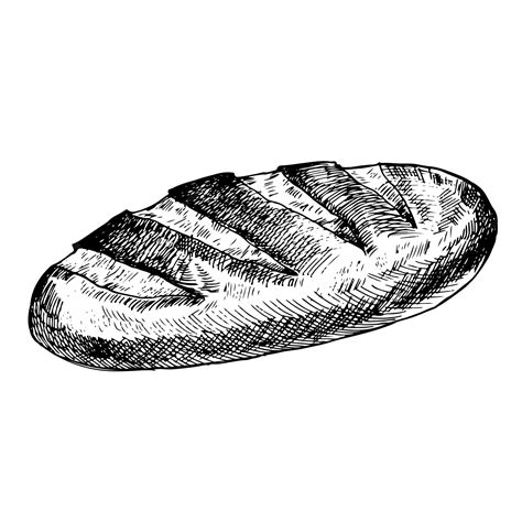 Premium Vector Vector Graphic Illustration Of Bread Black And White
