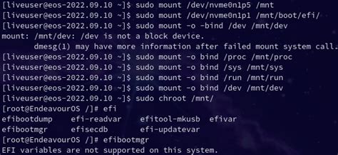 Uefi Unable To Reinstall Grub From Chroot Endeavouros Installation