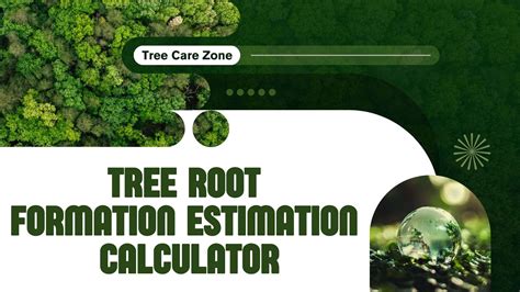 Tree Root Formation Estimation Calculator Free Tool