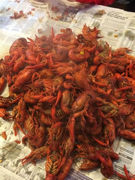 Mud Bugs Scrolller