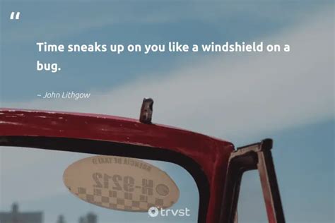 33 Bug Quotes For Insect Lovers And Buggy Life Moments 2025