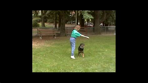 Bella Dancing Miracles Youtube