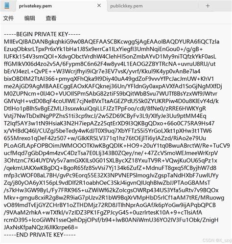 Openssl初步使用 Csdn博客
