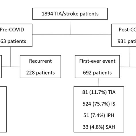 Figure Flowchart Of All Tia Stroke Patients From March Hhhh To February