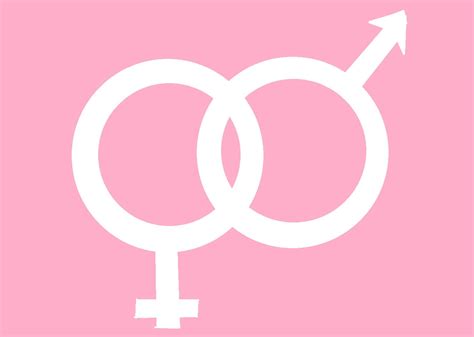 Sexuality Flags By Luizhenriquepeixotov On Deviantart