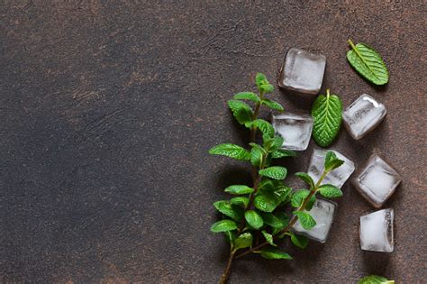 차가운 얼음과 콘크리트 배경에 신선한 민트 위에서 보기 각얼음에 대한 스톡 사진 및 기타 이미지 각얼음 개인 장식품 검은색 Istock