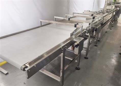 Infeed System Packaging Machinery Manufacturer Newhopes