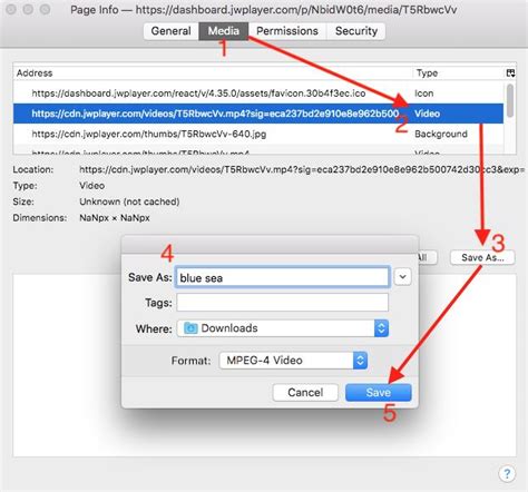 5 incredibly easy ways to download jw player videos 2025