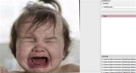 [数据集][目标检测]婴儿状态睡觉哭泣检测数据集voc yolo格式7109张3类别 yolo小孩数据集 csdn博客