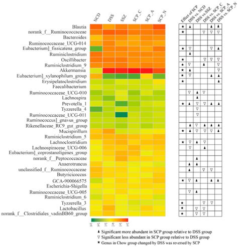 Smilax China L Polysaccharide Alleviates Dextran Sulphate Sodium