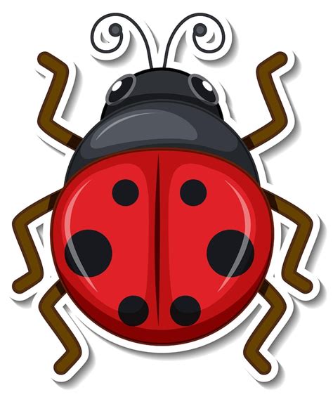 Ladybug Png Images Free Download On Freepik