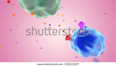 27 Th2 Cell 图片、库存照片、3d 物体和矢量图 Shutterstock