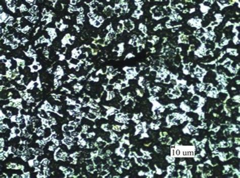 Microstructure Of Specimen 1 At The Magnification Of 100x Download