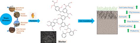 Biochar Application Effects On Soil Amendment And Crop Yield