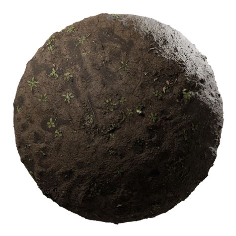 Forest Ground Textures Poliigon