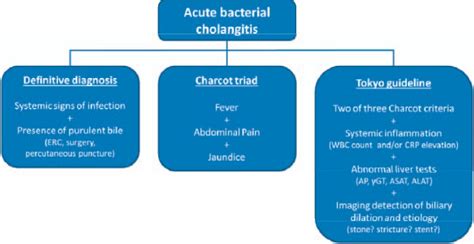 Acute Bacterial Cholangitis Pmc Acute Bacterial Cholangitis Pmc