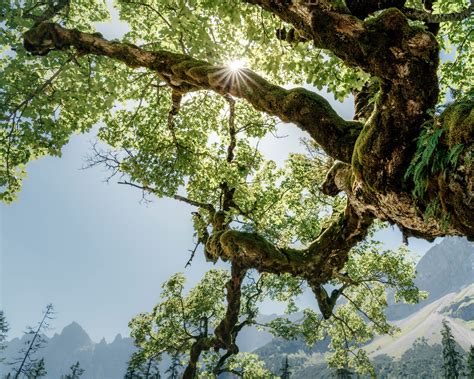 Iso Ghg Protocol Partnership Frequently Asked Questions Ghg Protocol