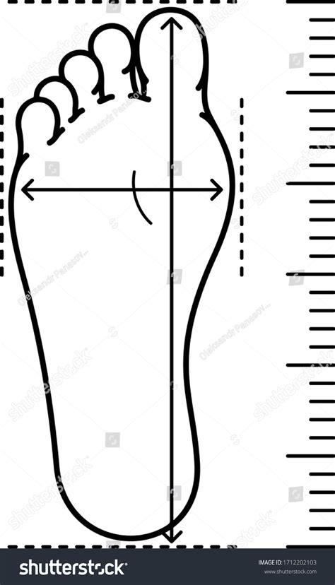 Foot Size Measurement Shoes Illustration Dimension Stock Vector