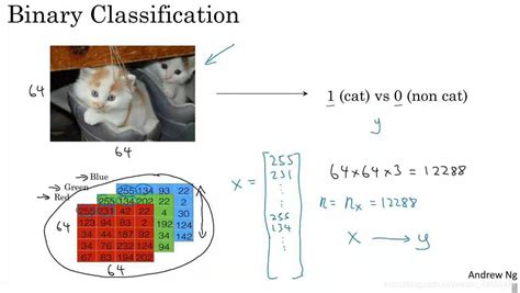 和我一起搭建神经网络——利用logistics回归实现猫的识别简述利用逻辑回归网络实现猫的照片识别的程序流程 Csdn博客