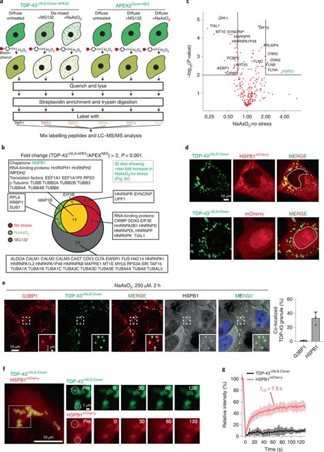 Quantitative Labelling At Evelyn Mary Blog