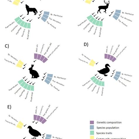 2 Diversity Of Essential Biodiversity Variables Ebvs Covered By