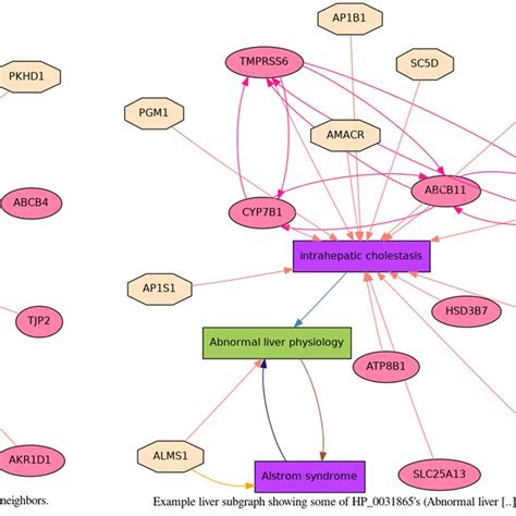 example subgraph from the general all tissues kg compared to the same