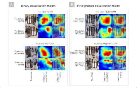 Exemplary Gradcam Visualizations Of The Developed Classification Download Scientific Diagram