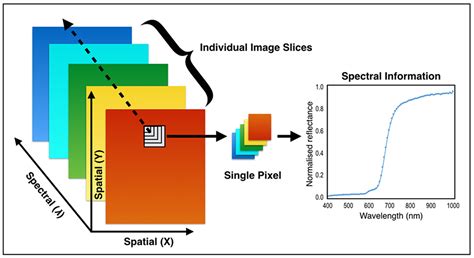 Unsupervised Clustering of Hyperspectral Paper Data Using t-SNE